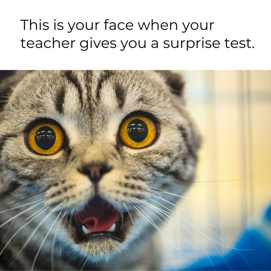 The Best Psychology Major Memes That Will Make Your Day - New Hope ...