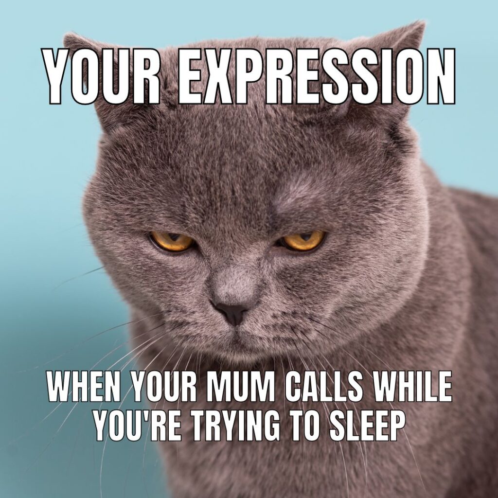 The Best Psychology Major Memes That Will Make Your Day - New Hope ...