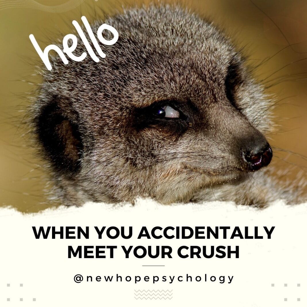 The Best Psychology Major Memes That Will Make Your Day - New Hope ...