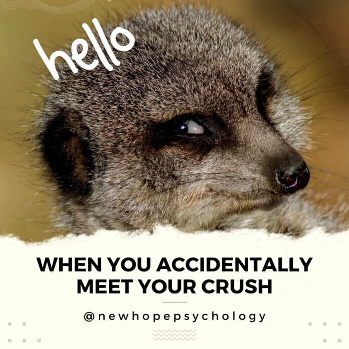 The Best Psychology Major Memes That Will Make Your Day - New Hope ...