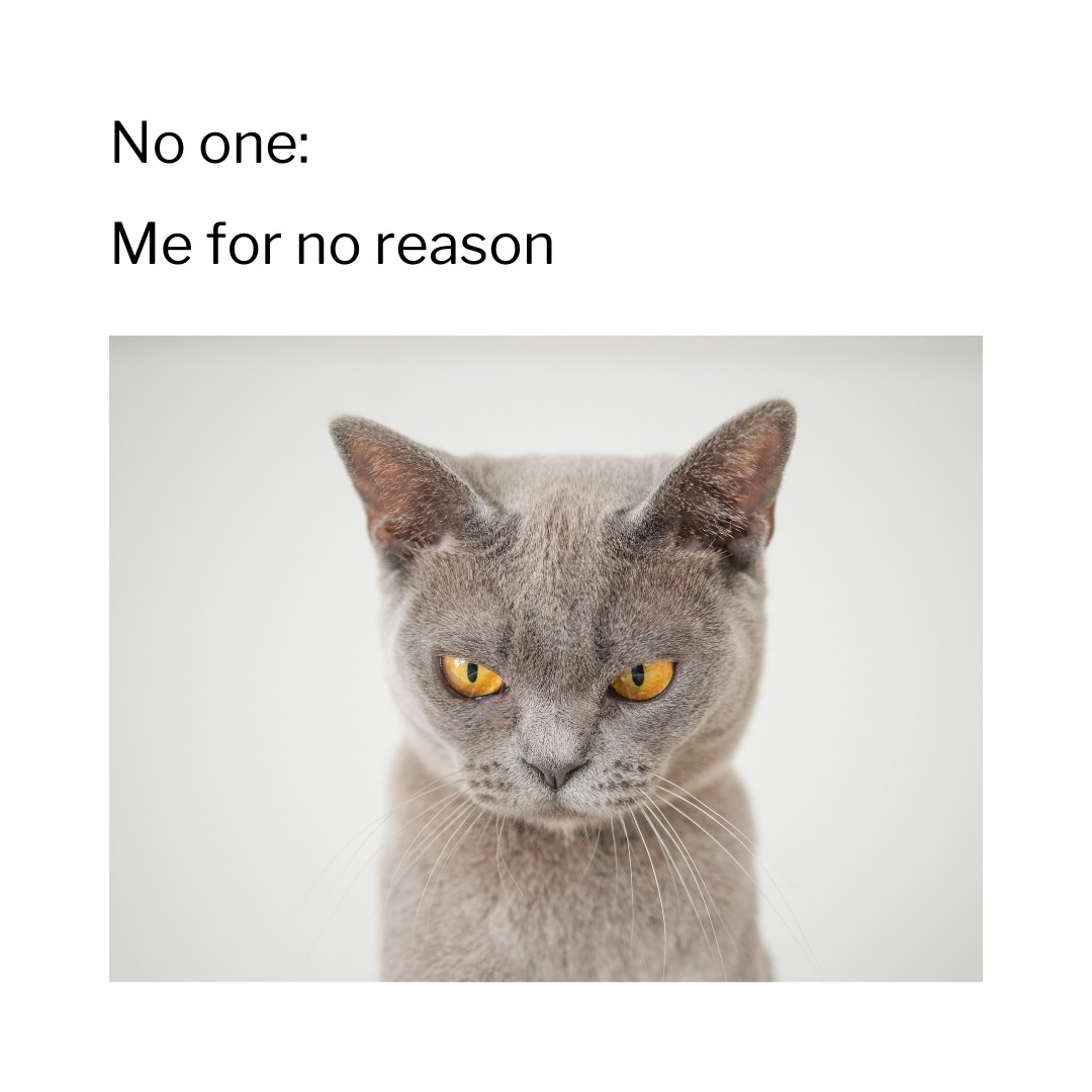 The Best Psychology Major Memes That Will Make Your Day - New Hope ...